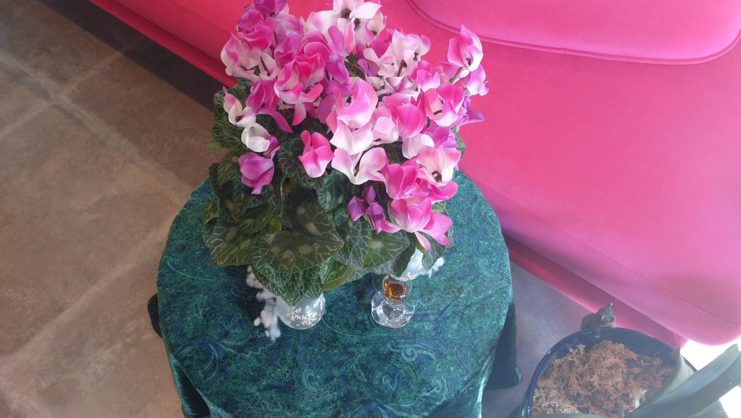 今週（3/5〜8)のランチメニュー - Piccolo Caffe(ピッコロカフェ) 公式Webサイト