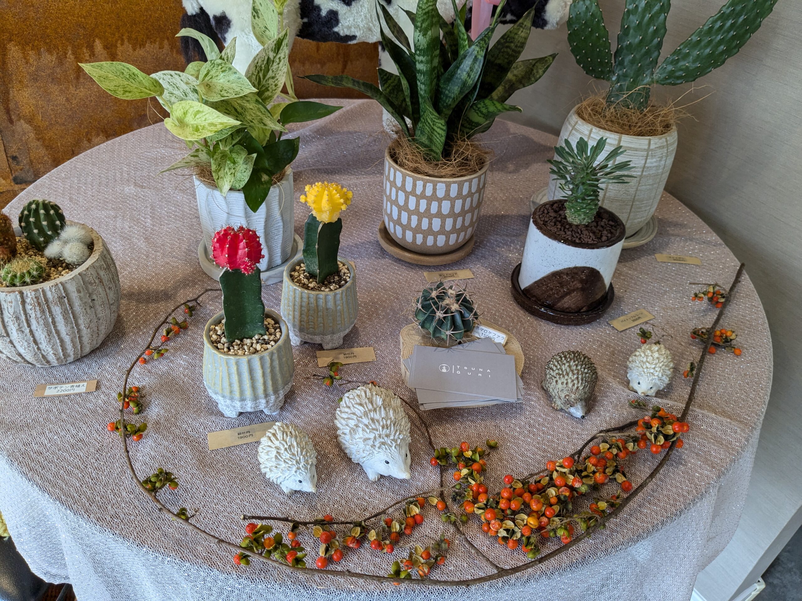 今週（11/5〜8)のランチメニュー - Piccolo Caffe(ピッコロカフェ) 公式Webサイト